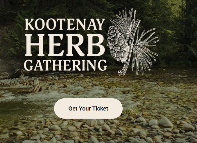 Kootenay Herb Gathering 2025 - Terese Bowors